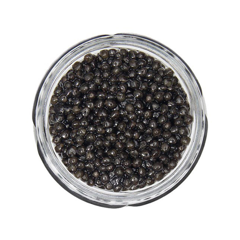 Sasanian 17.5 Oz Caviar White Sturgeon 17.5oz – BoxNCase