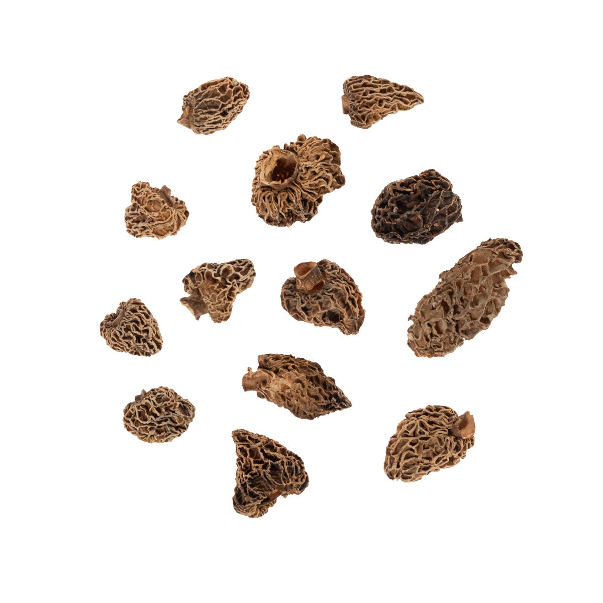 BoxNCase Dried California Morel Mushrooms – BoxNCase